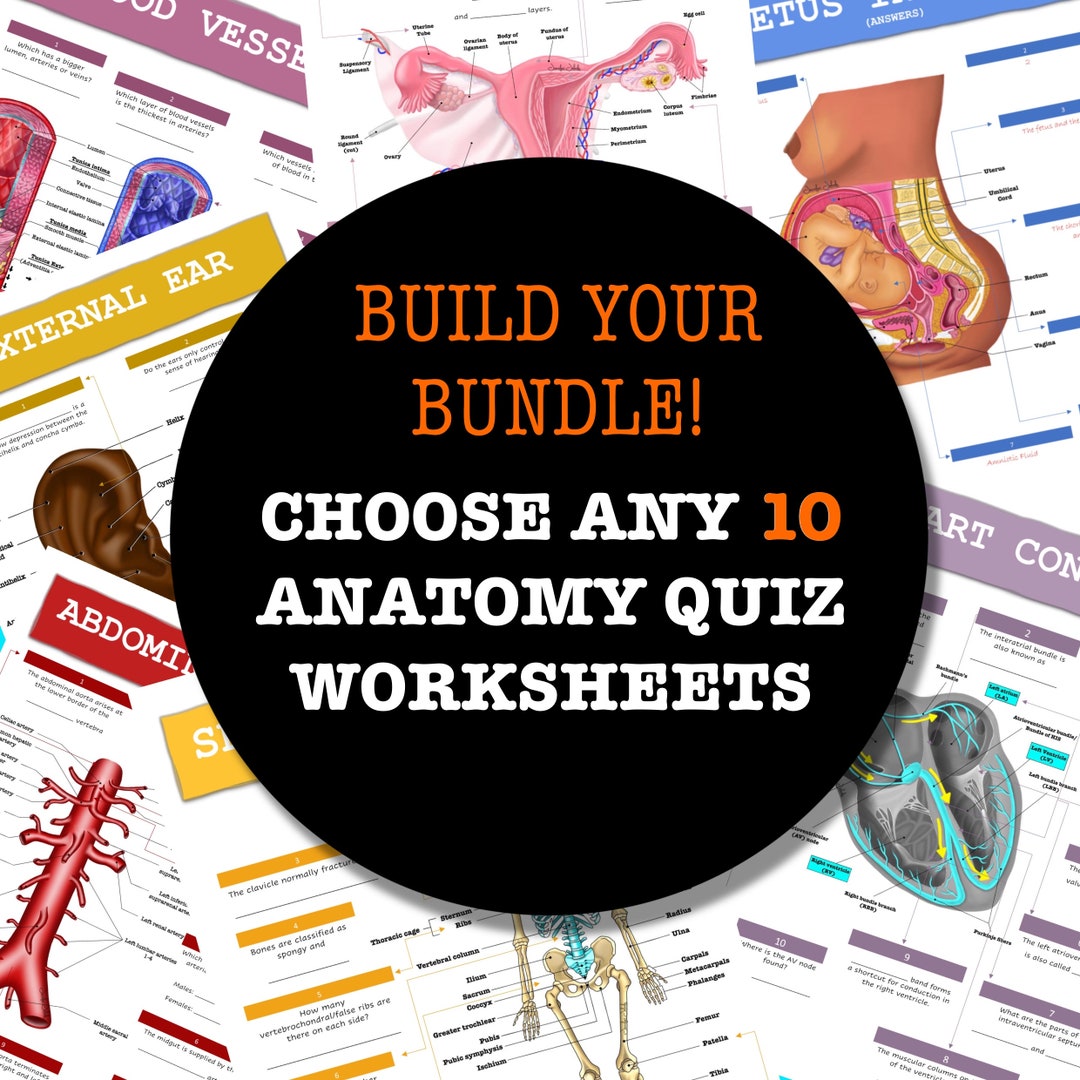 Build-your-own Anatomy Quiz Worksheet Bundle - 10 Pages - Digital ...