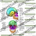 Cranial Bones Anatomy QUIZ Worksheet + Answers - Digital Download ...