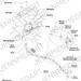 Neuron Anatomy Coloring Page LABELED Digital Download Nervous System ...