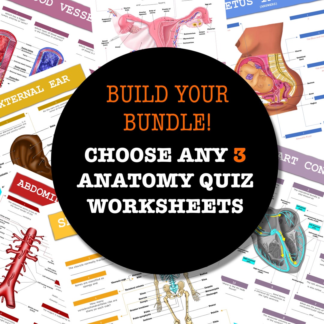 Build-your-own Anatomy Quiz Worksheet Bundle - 3 Pages - Digital ...