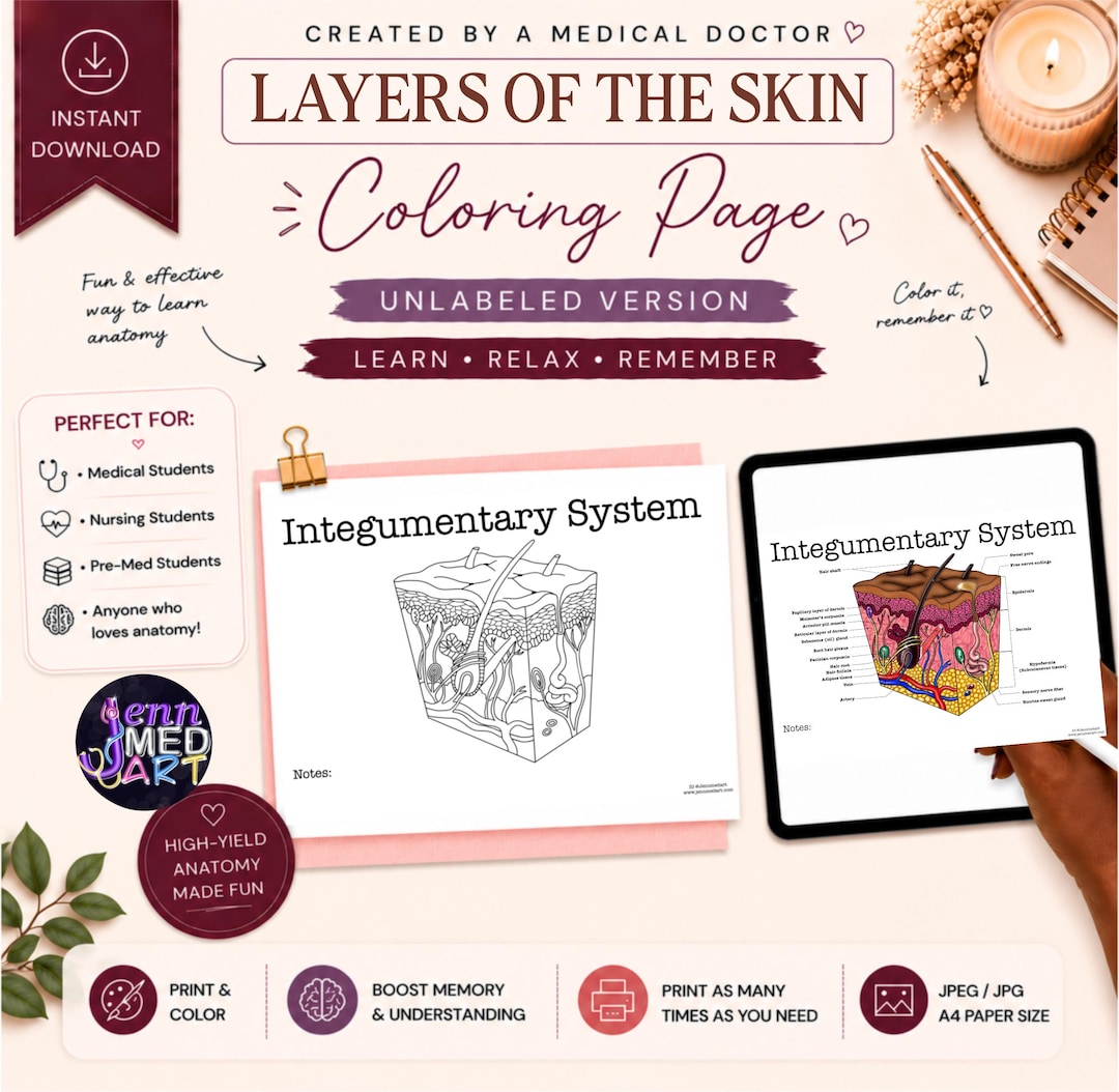 Integumentary System Coloring Page | Unlabeled | Skin Anatomy Study ...