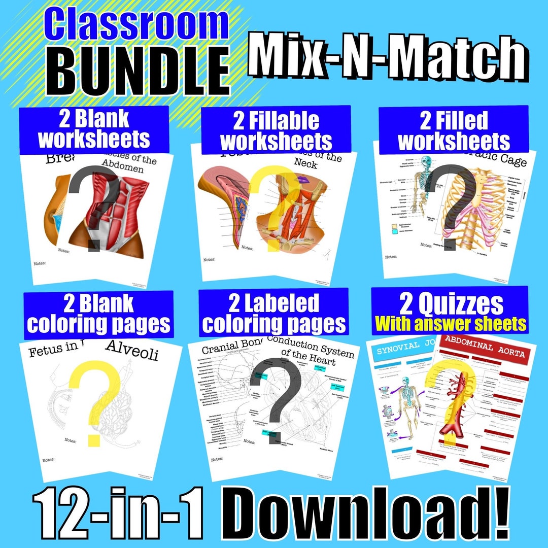 Build-your-own Classroom Worksheet Bundle - 12 Pages - Digital Download ...