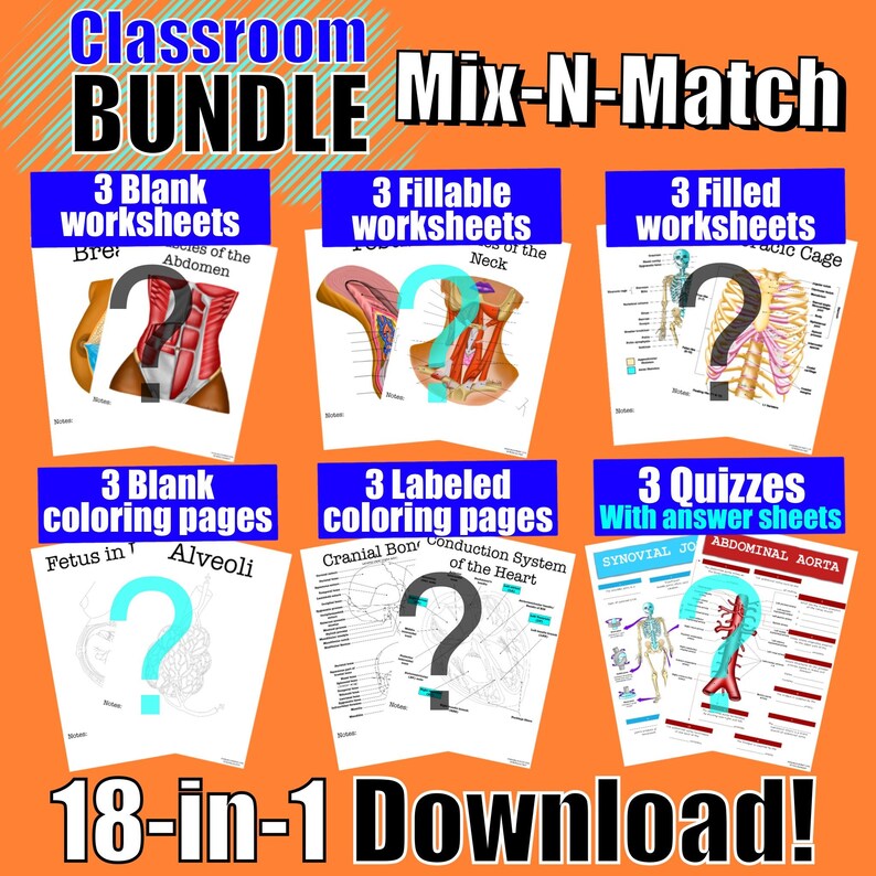 Build-your-own Classroom Worksheet Bundle - 18 Pages - Digital Download ...