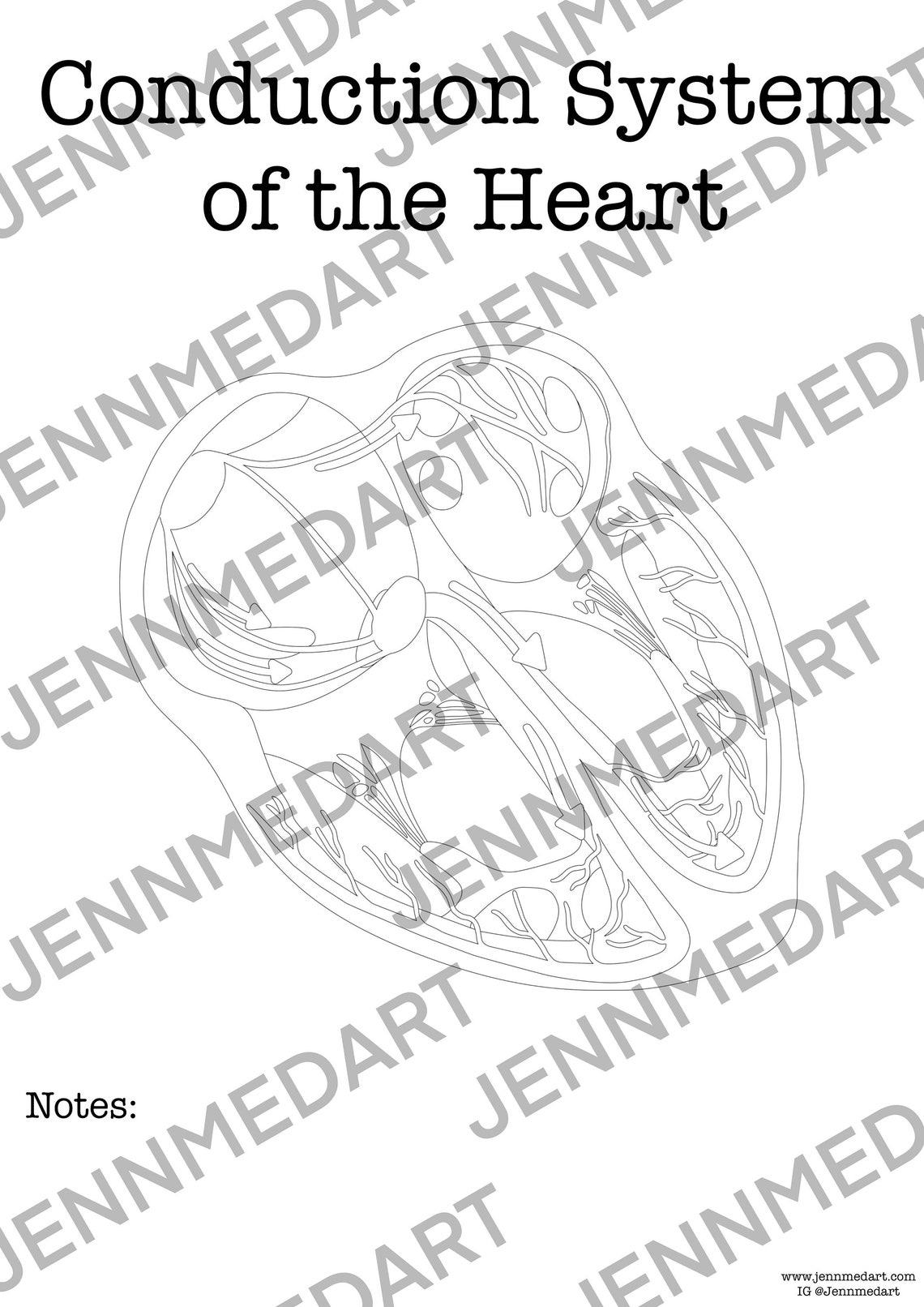 Conduction System of the Heart Anatomy Coloring Page- BLANK- Digital ...