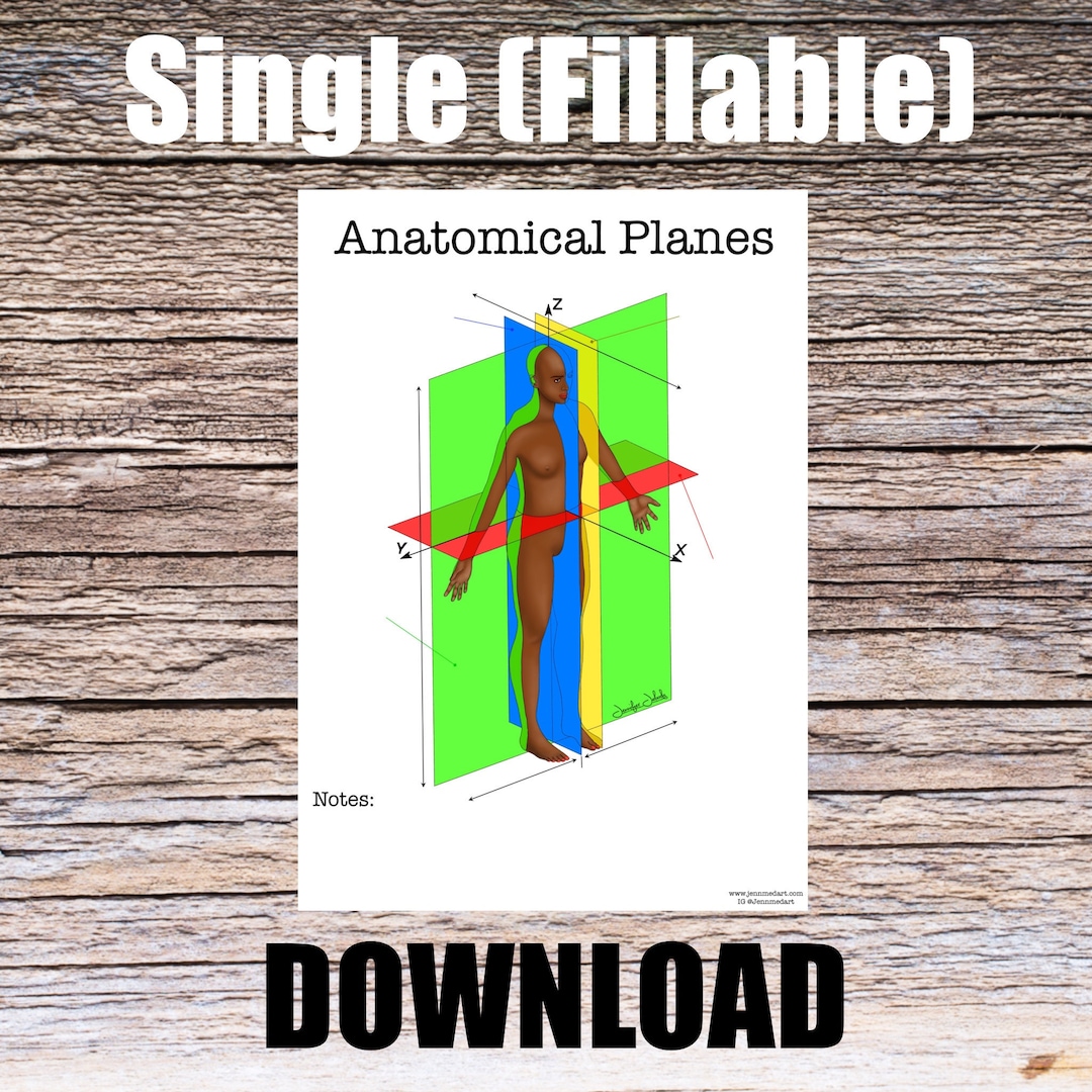 Anatomical Planes Anatomy Worksheet- Single FILLABLE- Digital Download ...