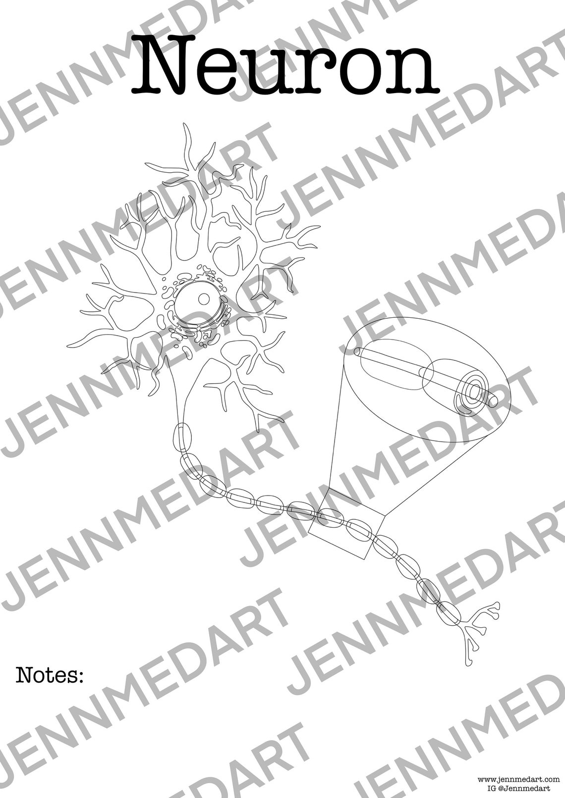 Neuron Anatomy Coloring Page- BLANK- Digital Download Nervous System ...
