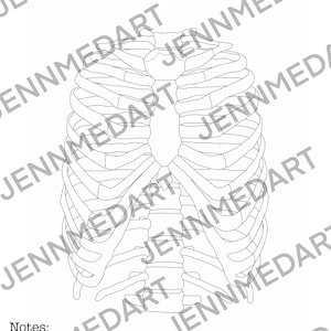 Thoracic Cage Anatomy Coloring Page BLANK Digital Download Ribcage ...