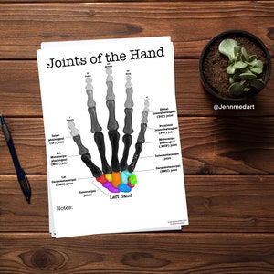 Joints of the Hand Anatomy Worksheet- Single FILLABLE- Digital Download ...