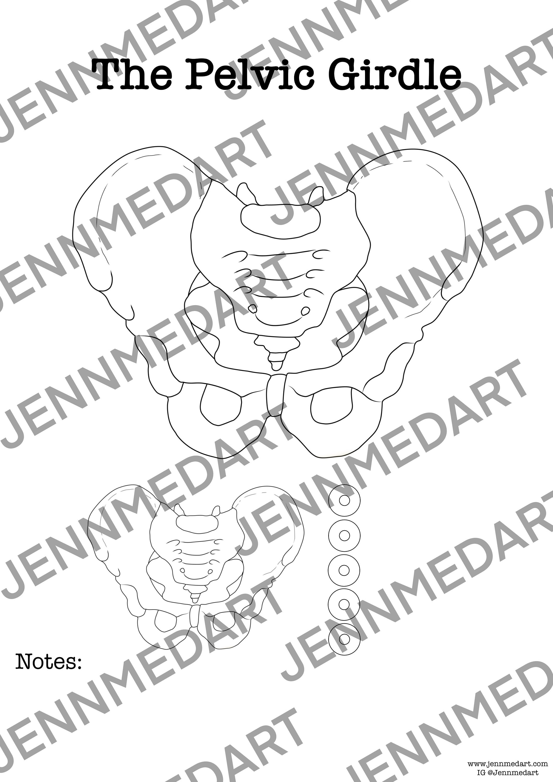 Pelvis Coloring Page Coloring Pages