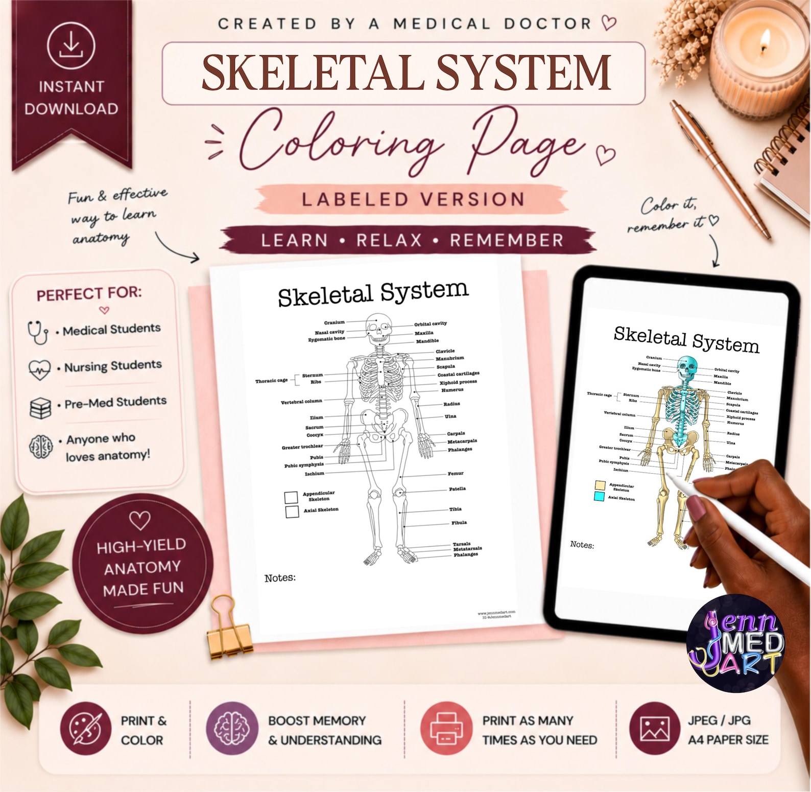 Skeletal System Coloring Page | Labeled | Skeleton Anatomy Study Guide ...