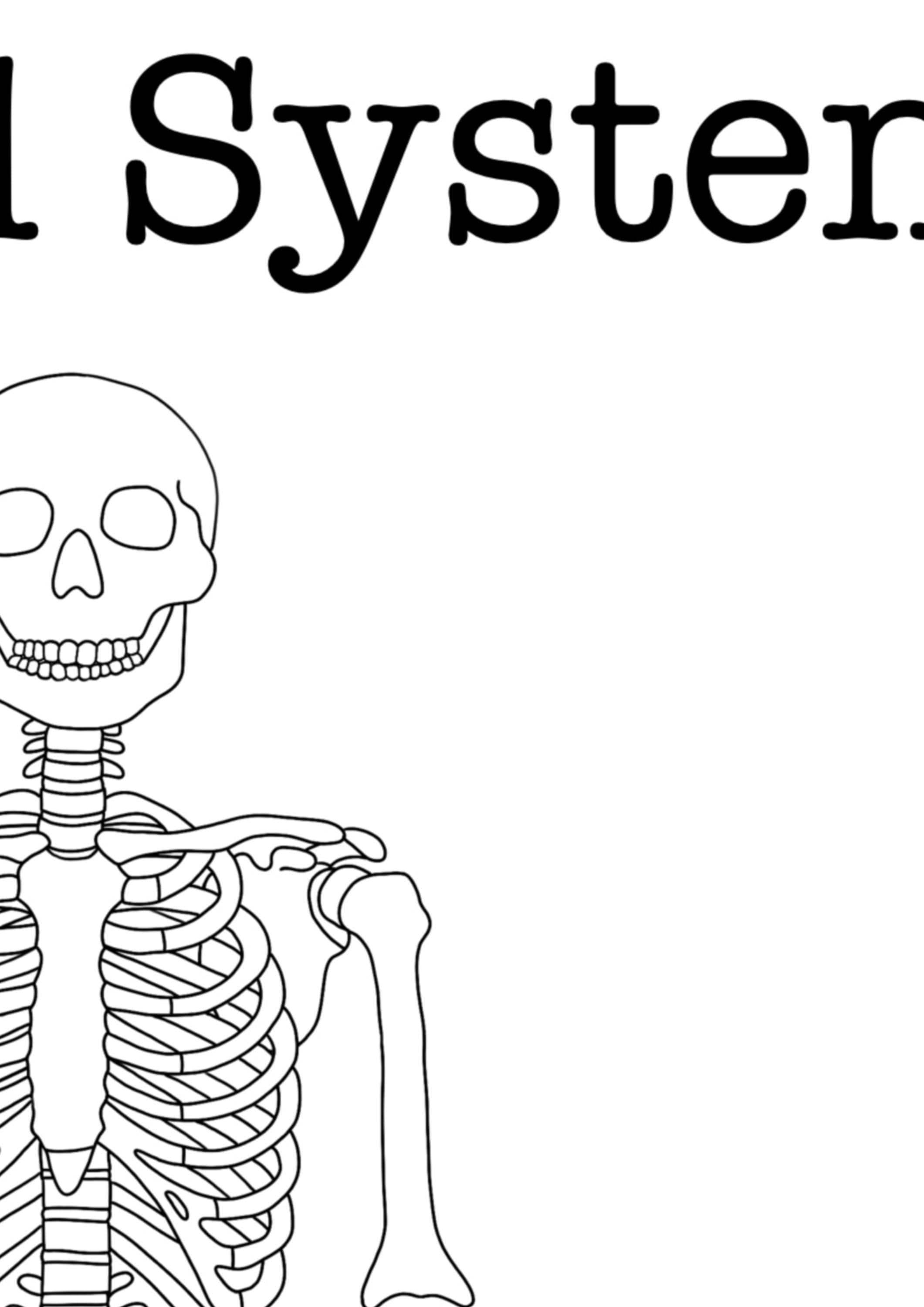 Skeletal System Coloring Page | Unlabeled | Skeleton Anatomy Study ...