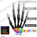 Bones of the Hand Anatomy Worksheet Single FILLED Digital Download ...