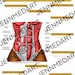 Muscles of the Abdomen Anatomy QUIZ Worksheet + Answers - Digital ...