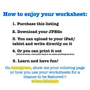 Thoracic Cage Anatomy Worksheet Single FILLED Digital Download Human ...