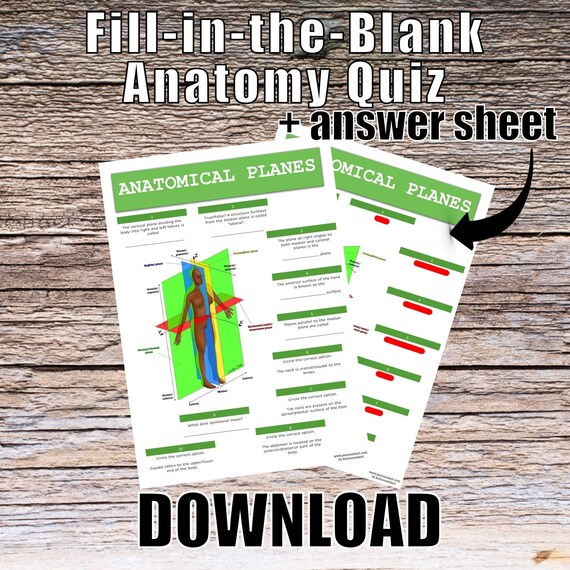 Anatomical Body Planes Worksheet Human Body Worksheets 1.2: Anatomical