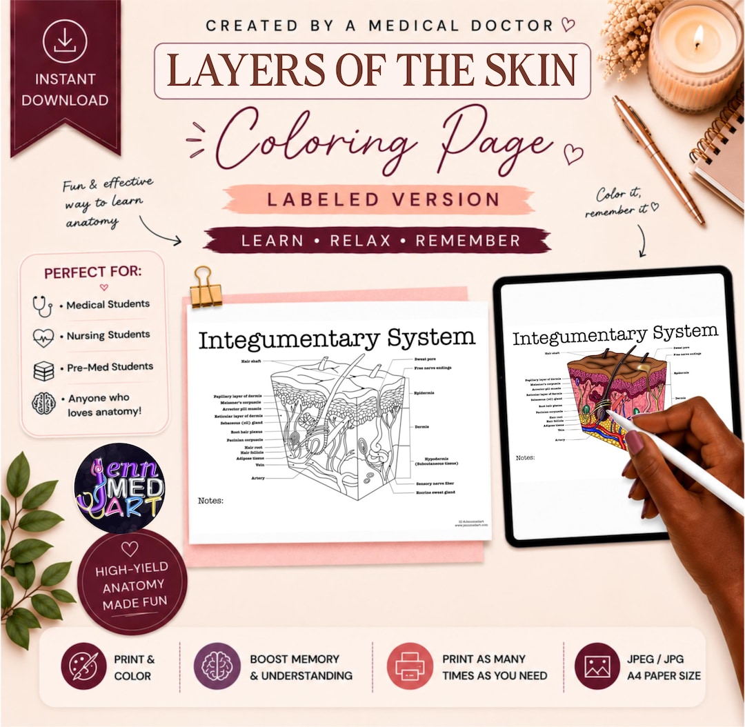 Integumentary System Coloring Page | Labeled | Layers of Skin Anatomy ...