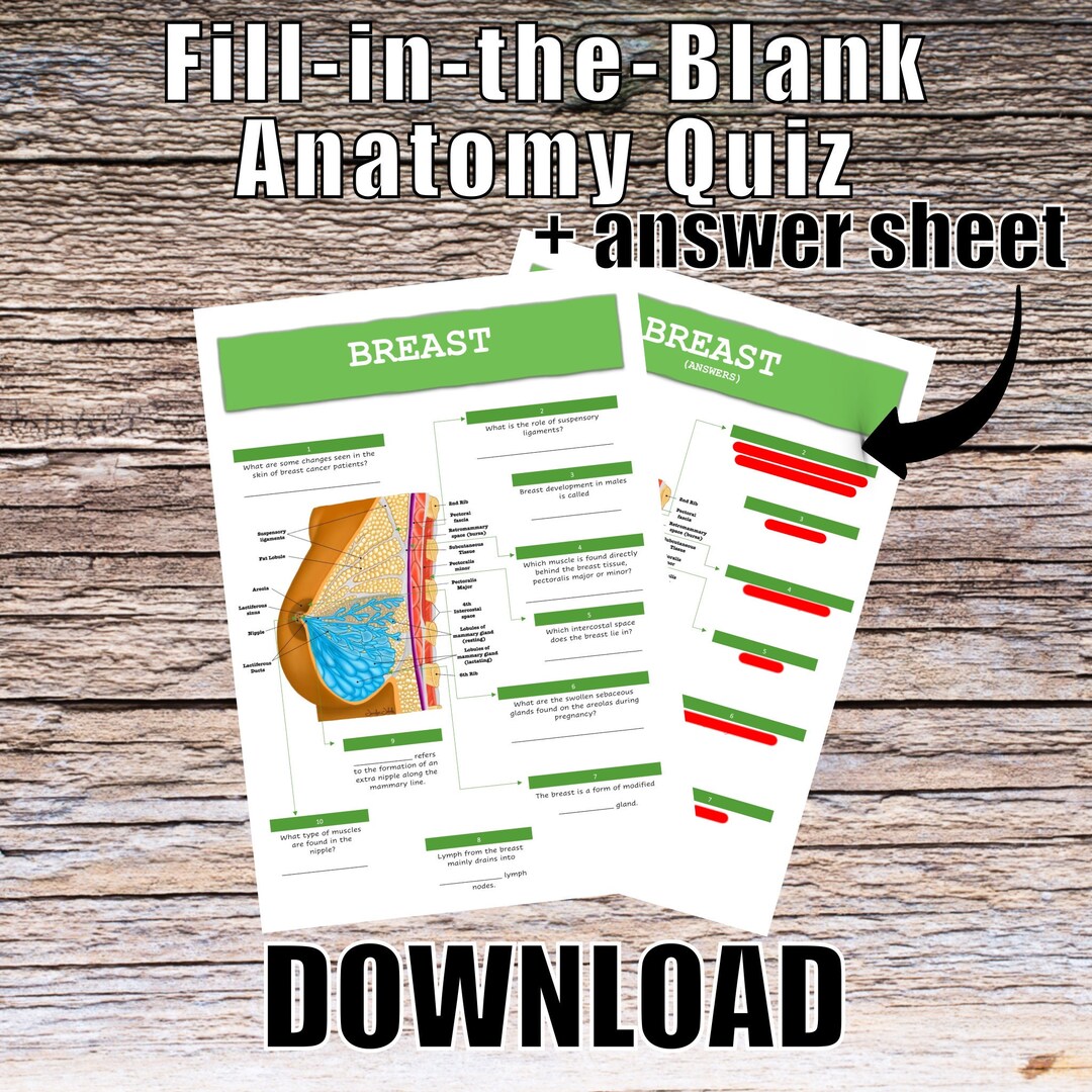 Breast Anatomy QUIZ Worksheet + Answers - Digital Download Printable ...