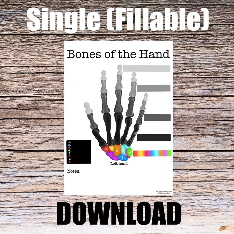 Bones of the Hand Anatomy Worksheet- Single FILLABLE- Digital Download ...