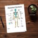 Skeletal System Anatomy Coloring Page LABELED Digital Download Skeleton ...