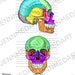 Cranial Bones Anatomy Worksheet- Single FILLABLE- Digital Download ...