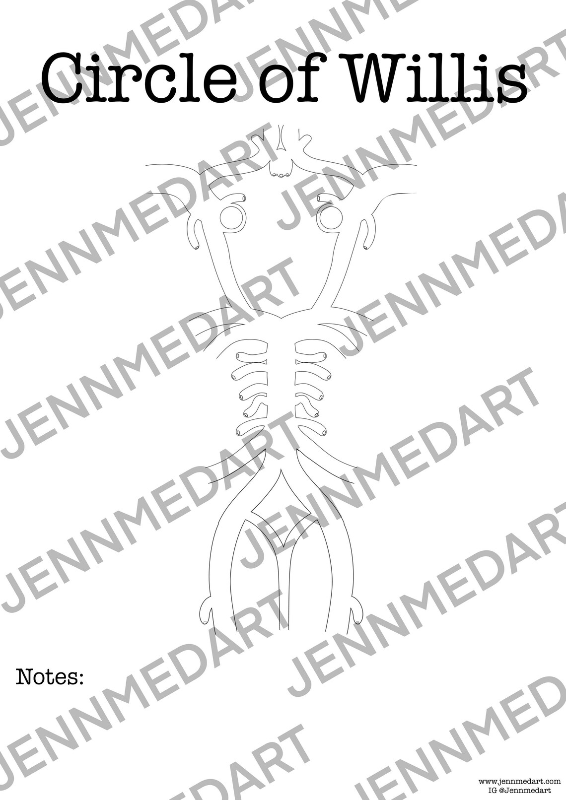 Circle of Willis Anatomy Coloring Page- BLANK- Digital Download Brain ...
