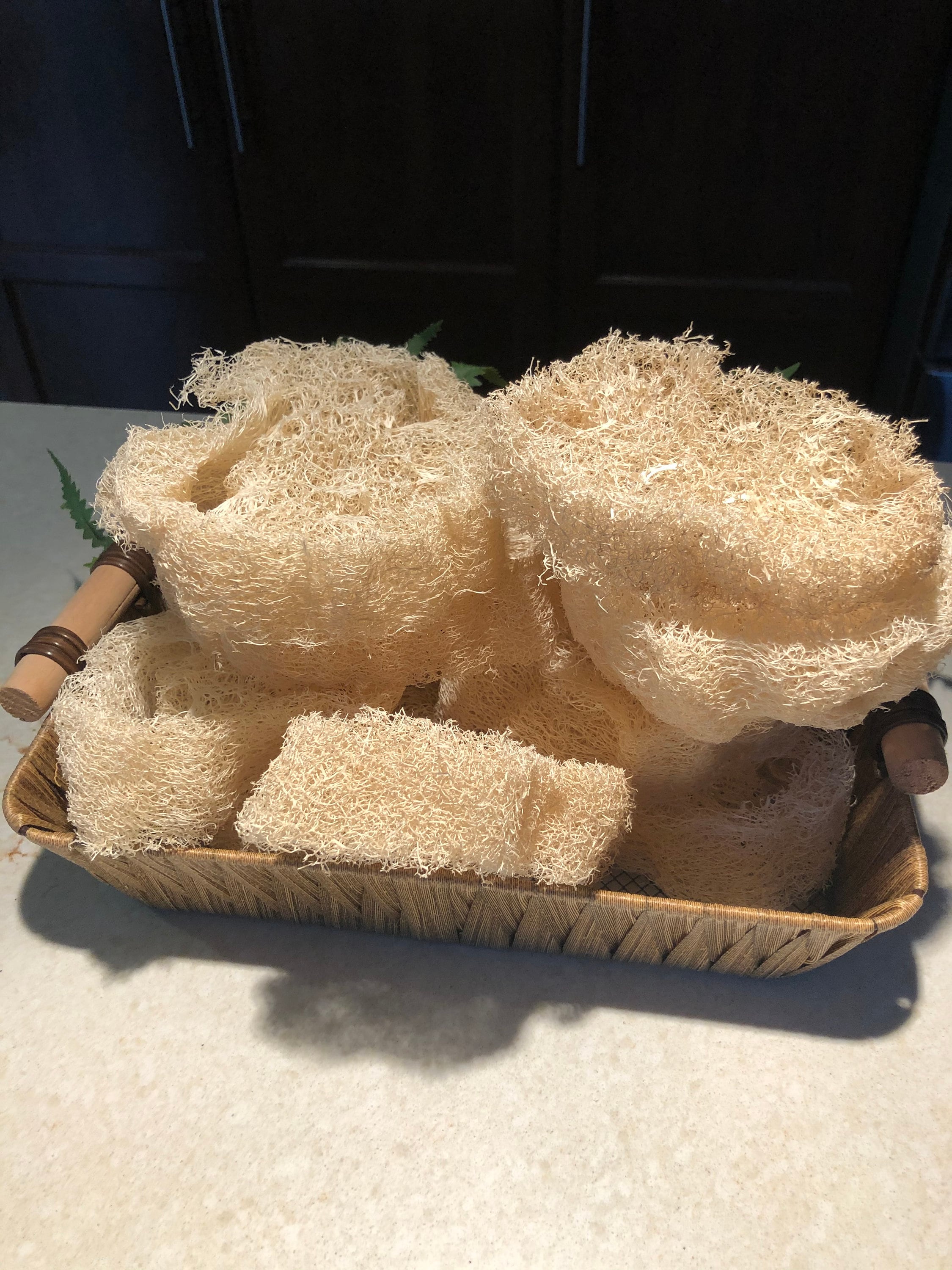 Natural Egyptian Biodegradable Luffa Loofa Lufa Loofah Bath & Household ...