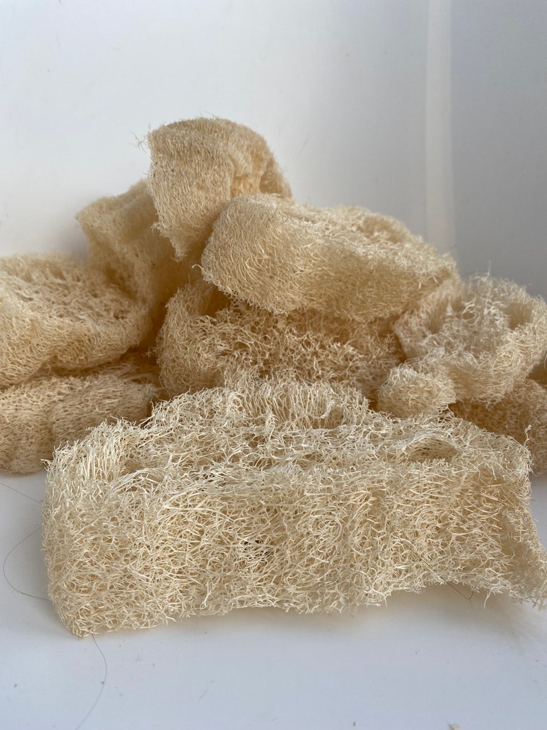 Natural Egyptian Biodegradable Luffa Loofa Lufa Loofah Bath & Household ...