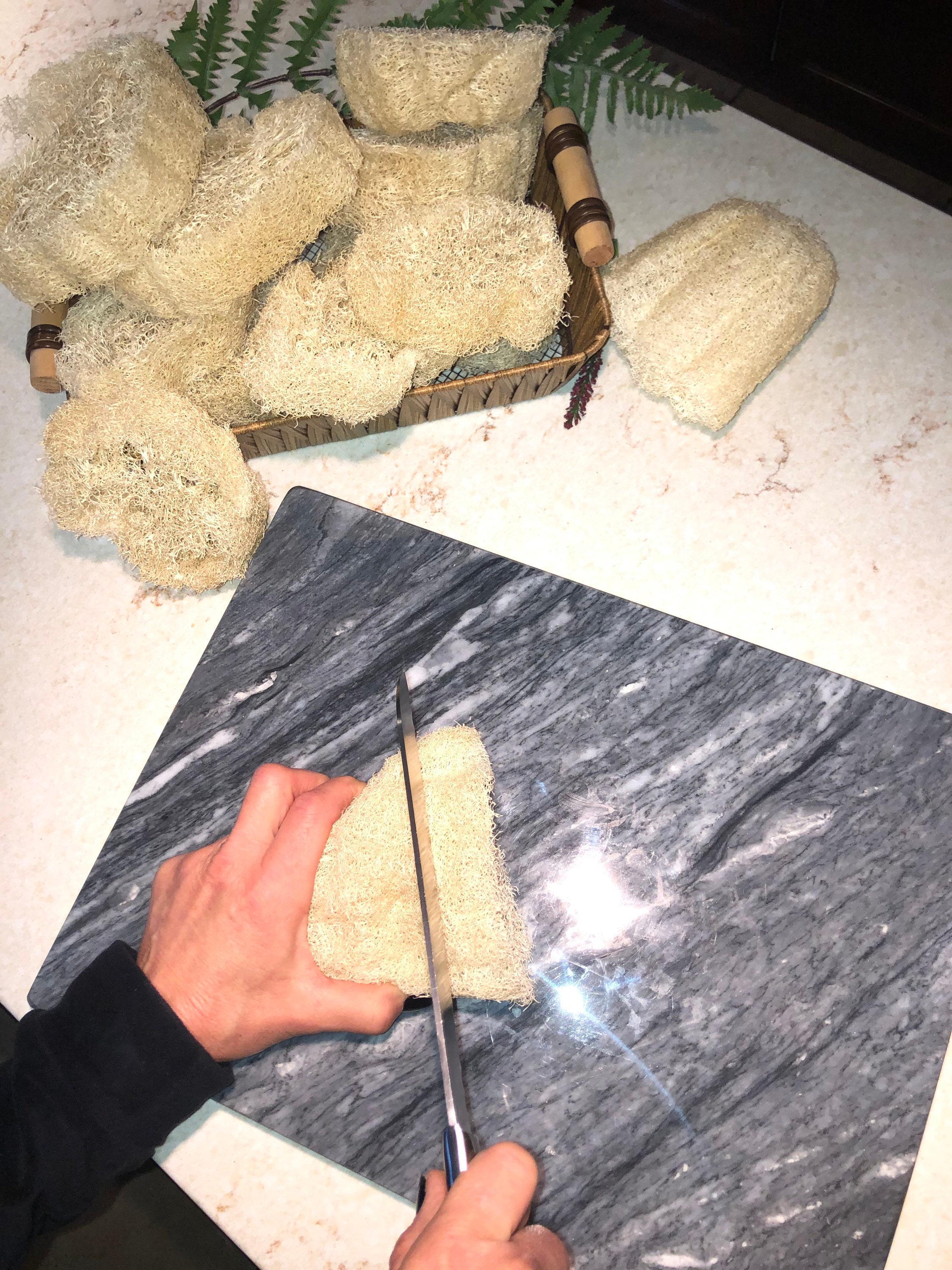 Natural Egyptian Biodegradable Luffa Loofa Lufa Loofah Bath & Household ...