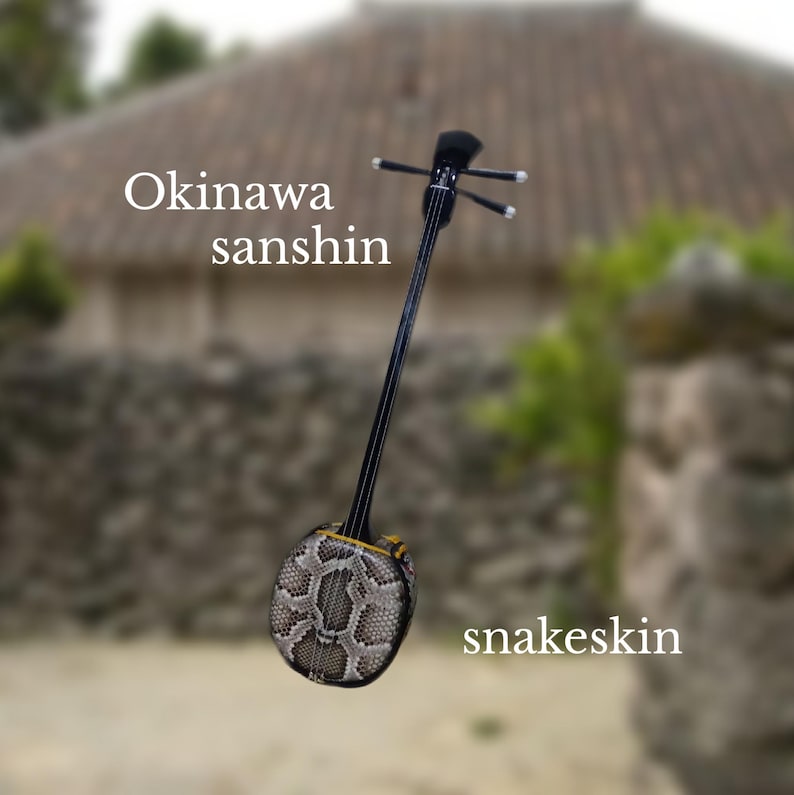 Okinawa Sanshin / Snakeskin - Etsy