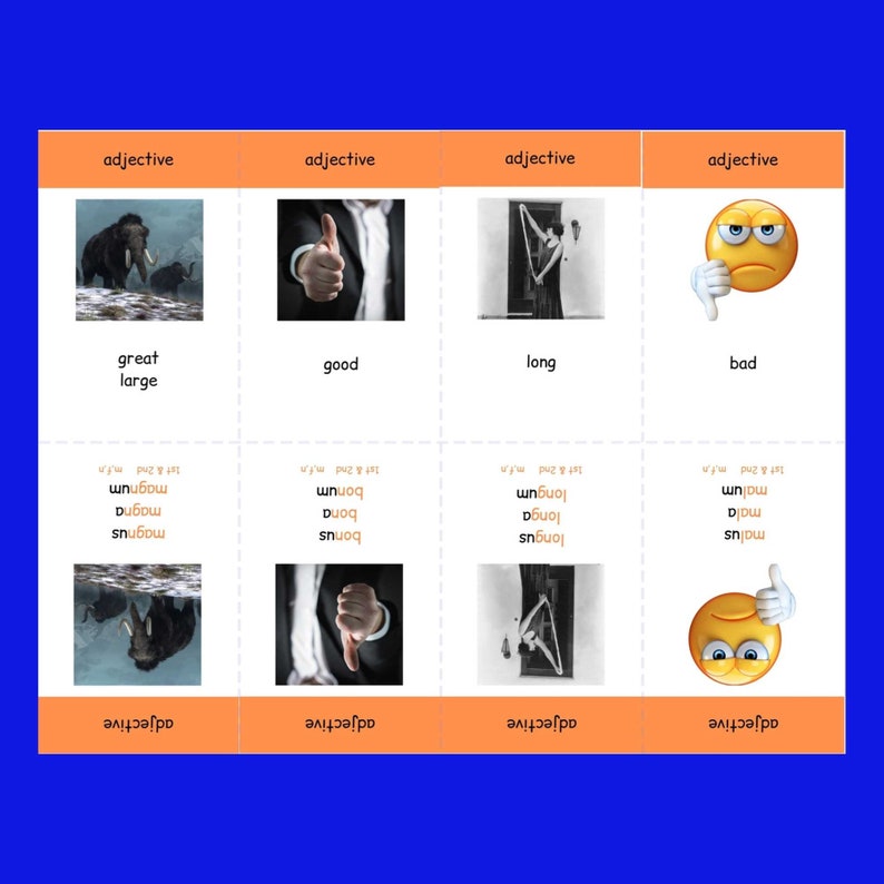 Visual Color-coded Henle Latin Flashcards for Challenge A, Units 1-3 - Etsy