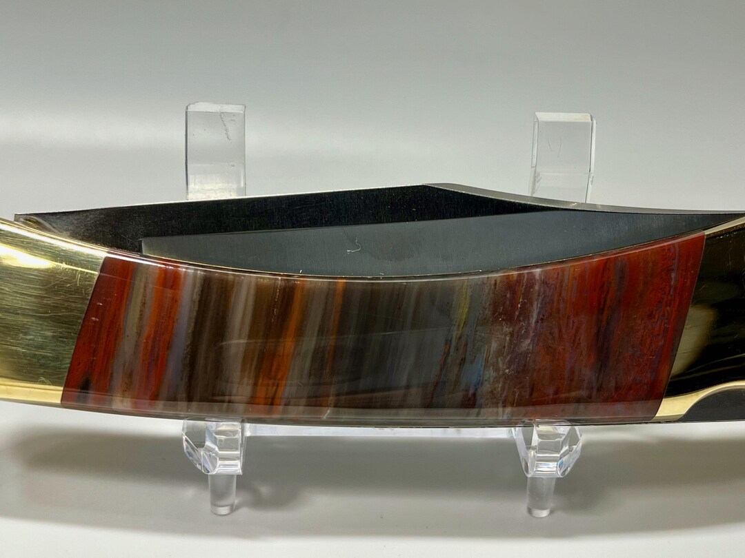 Buck #110 Folding Hunter Knife W/ Petrified Arizona Rainbow Wood Scales ...