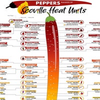 Scoville Heat Units Pepper Chart Laminated Poster - Etsy UK