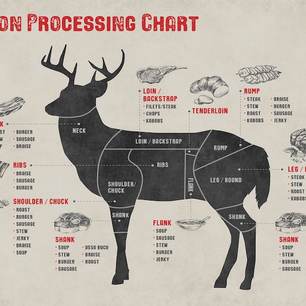 Butcher Chart - Etsy