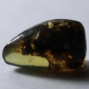 Natural Mexican Amber Amber Piece Collectors Specimen Healing Stone ...