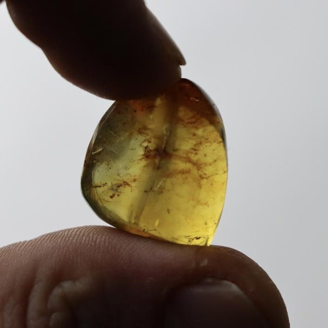 Natural Mexican Amber | Amber Piece Collectors Specimen Healing Stone ...