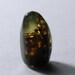 Natural Mexican Amber Amber Piece Collectors Specimen Healing Stone ...