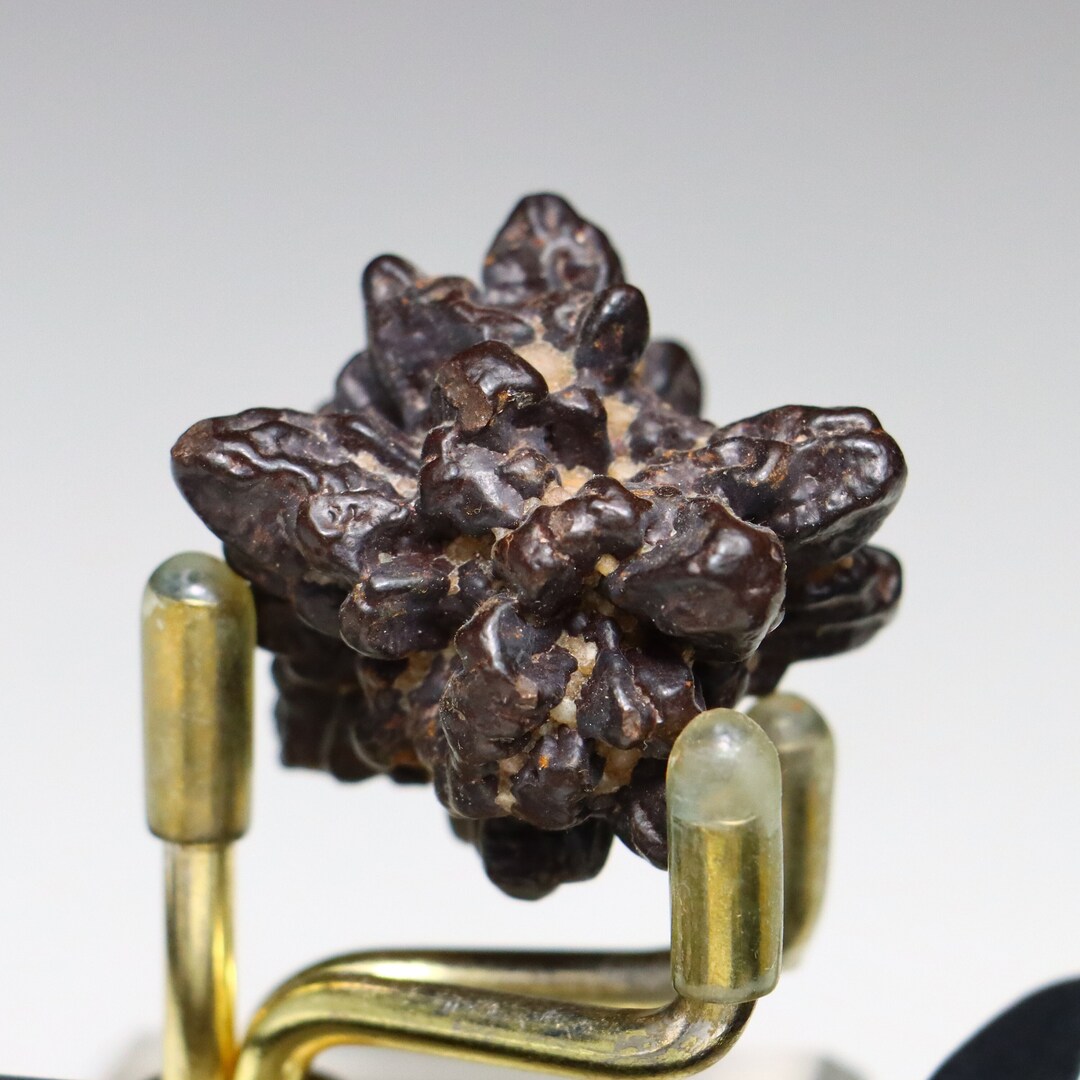 Prophecy Stone | Limonite & Hematite After Marcasite | Rare Crystal ...