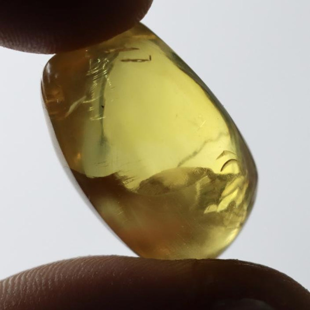Natural Mexican Amber | Amber Piece Collectors Specimen Healing Stone ...