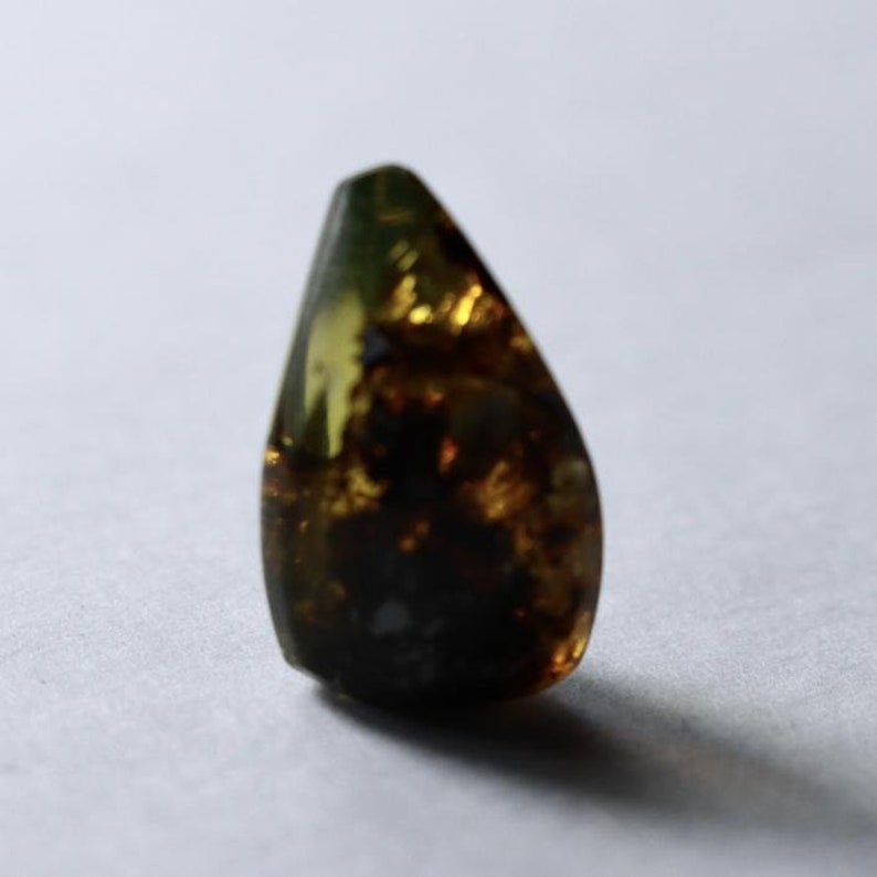 Natural Mexican Amber Amber Piece Collectors Specimen - Etsy