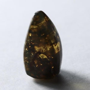 Natural Mexican Amber Amber Piece Collectors Specimen Healing Stone ...