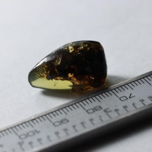 Natural Mexican Amber Amber Piece Collectors Specimen Healing Stone ...