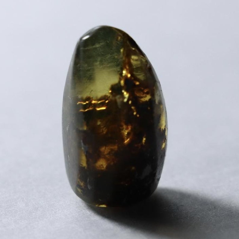 Natural Mexican Amber Amber Piece Collectors Specimen - Etsy