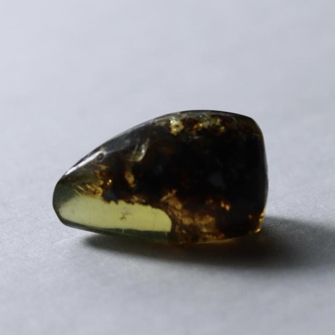 Natural Mexican Amber Amber Piece Collectors Specimen Healing Stone ...