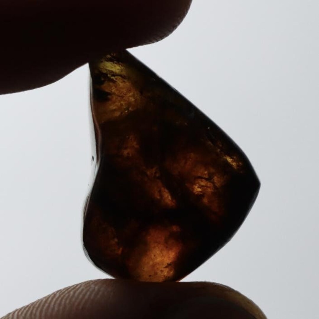 Natural Mexican Amber | Amber Piece Collectors Specimen Healing Stone ...