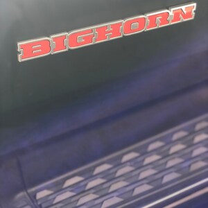 Ram 1500 DT BIGHORN Tailgate Combo Decal Overlay Decal 2019 2020 2021 ...