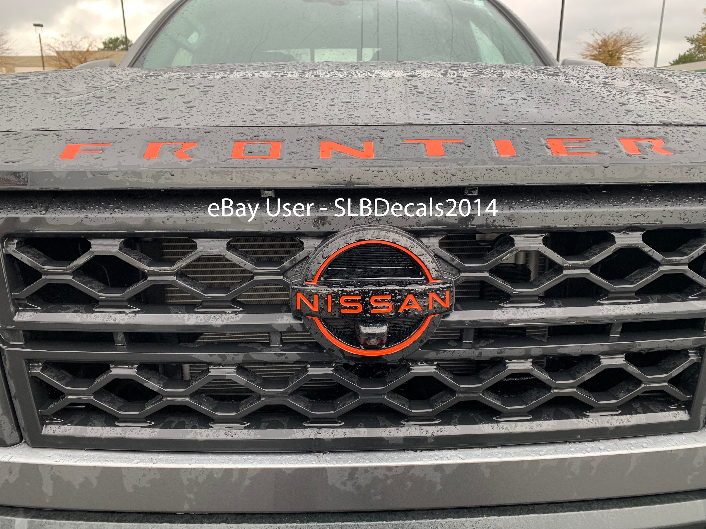 Nissan Frontier Grill and Tailgate Decals 2022 2023 Truck Pro4x - Etsy