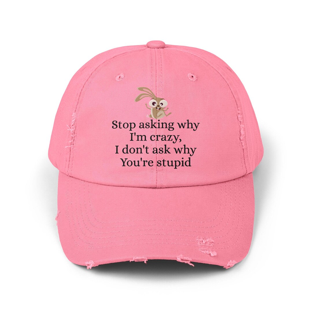 Distressed Cap, Gen X Humor, Funny Hat, Adult Humor, Crazy Stupid ...