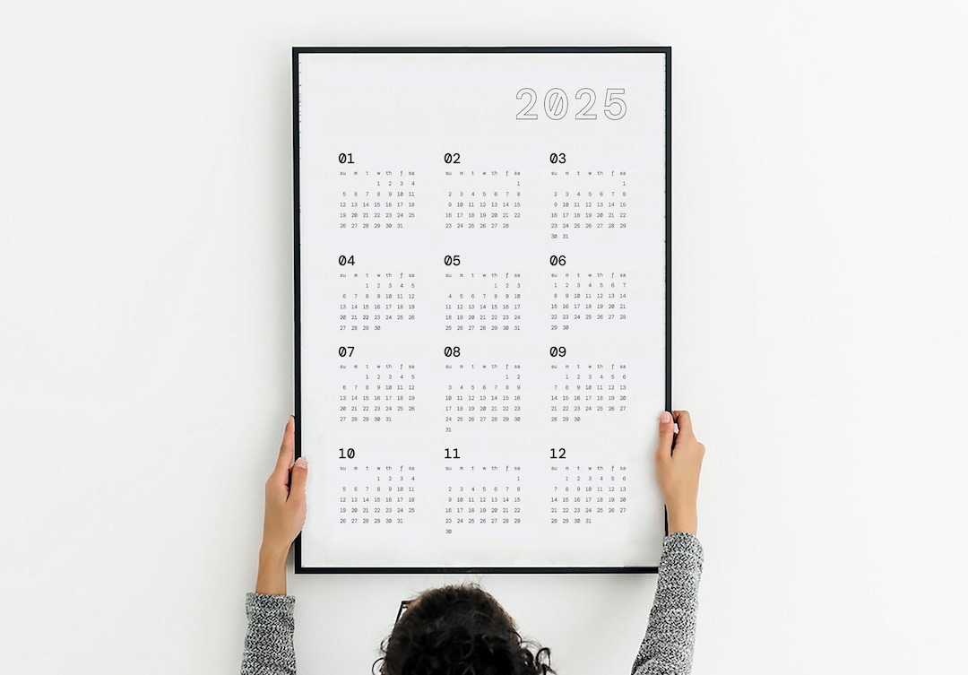 2025 Year at a Glance, One Page Modern Wall Calendar, 12 Month ...