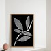 Boho Black and White Plant Wall Art, Abstract Digital Download, Modern ...