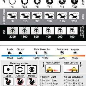 Dslr/mirrorless Photography "cheat Sheet" Credit Card Size Photo ...